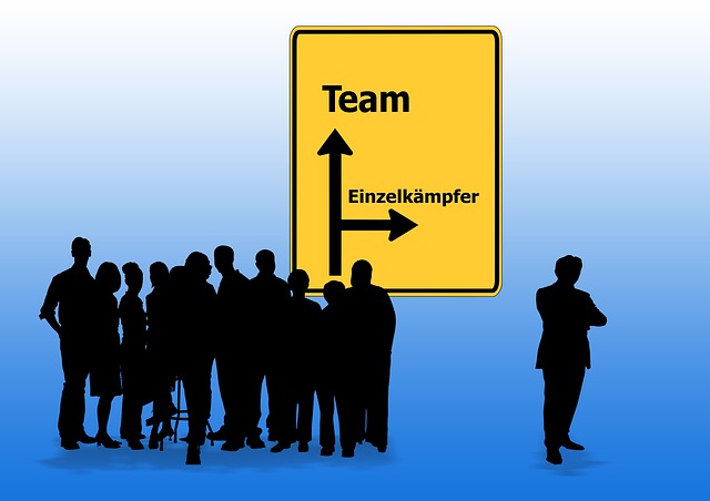 Sind Teams besser als einzelne Experten? Der Vergleich - Der Team Blog